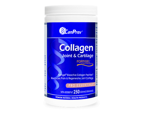Collagen Joint & Cartilage Fortigel Powder 250g